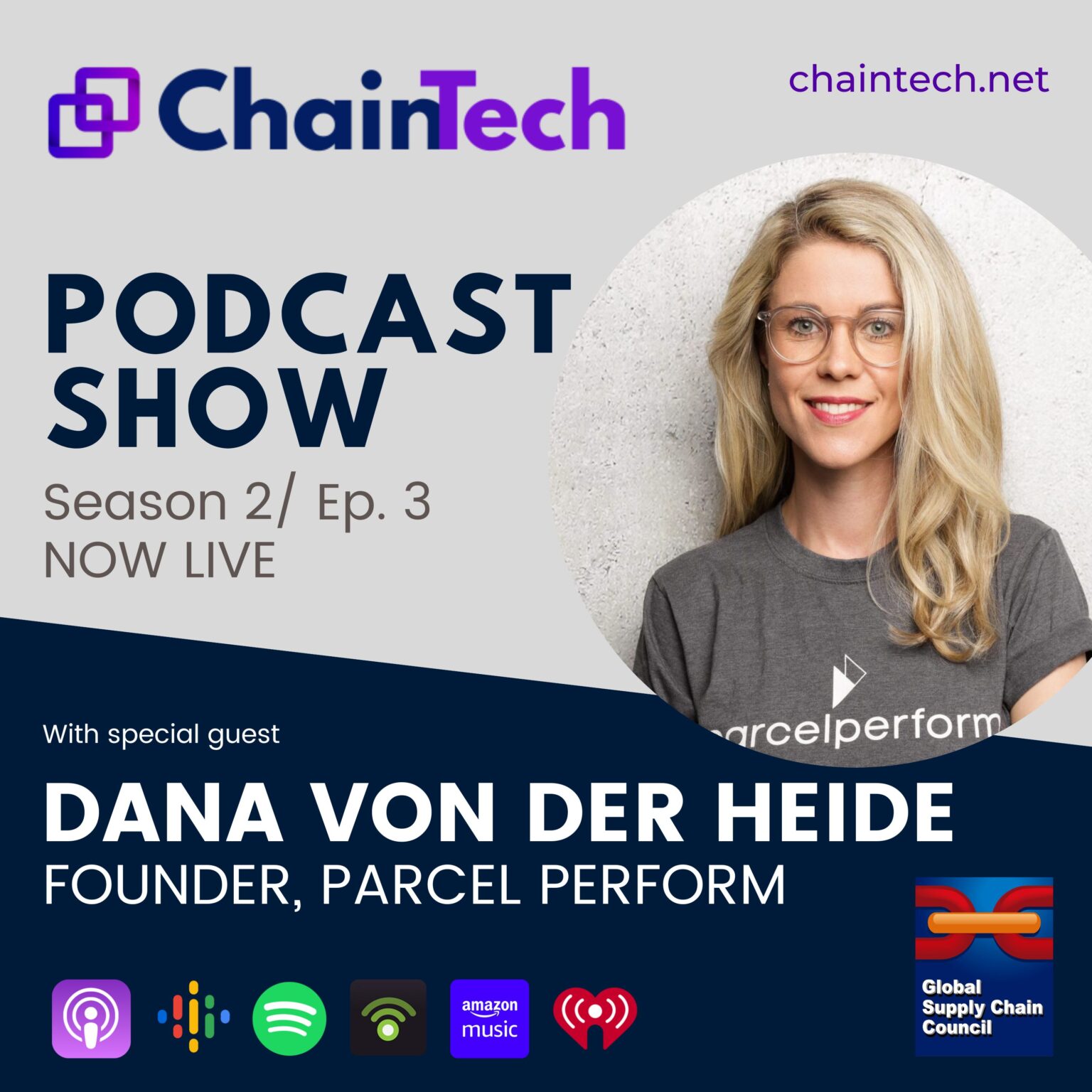 The Future of Global Supply Chains: A 2025 Perspective - SupplyChains ...